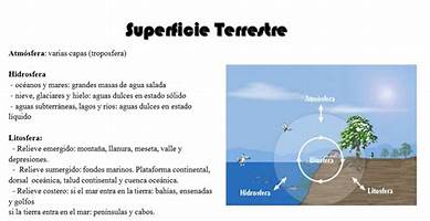 INSTITUTO MARMATOS LTDA DOCENTE CLARA BARRERO