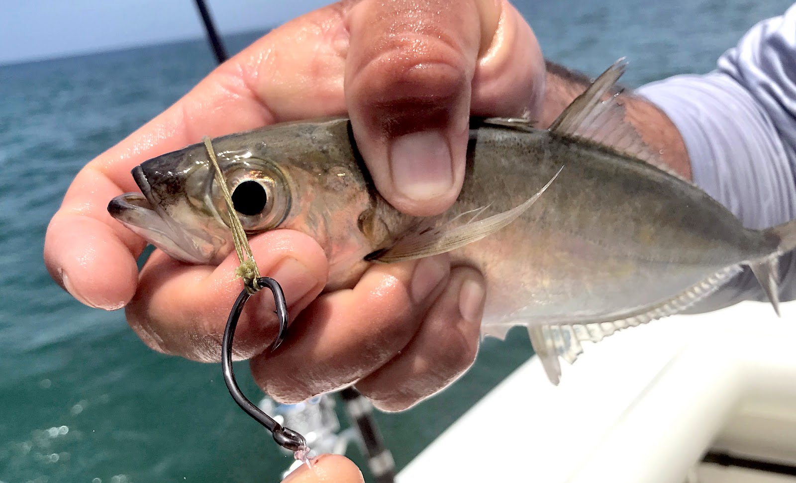 Jon Schwartz's Blog: Fishing, Big Fish Photography, and Travel