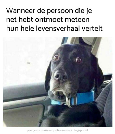 Plaatjes met grappige quotes en afbeeldingen met mooie spreuken om te ...