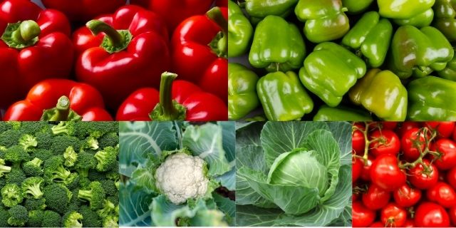 Super Mini Combo pack offer of vegetable seeds | only 210tk