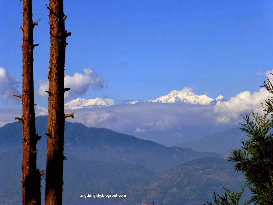 anythinglily: Kalimpong Travel Part 2: Deola Hill