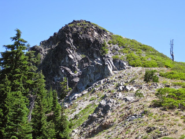 Hiking Sasquatch Country: 35 Tanner Mountain Summit Trail