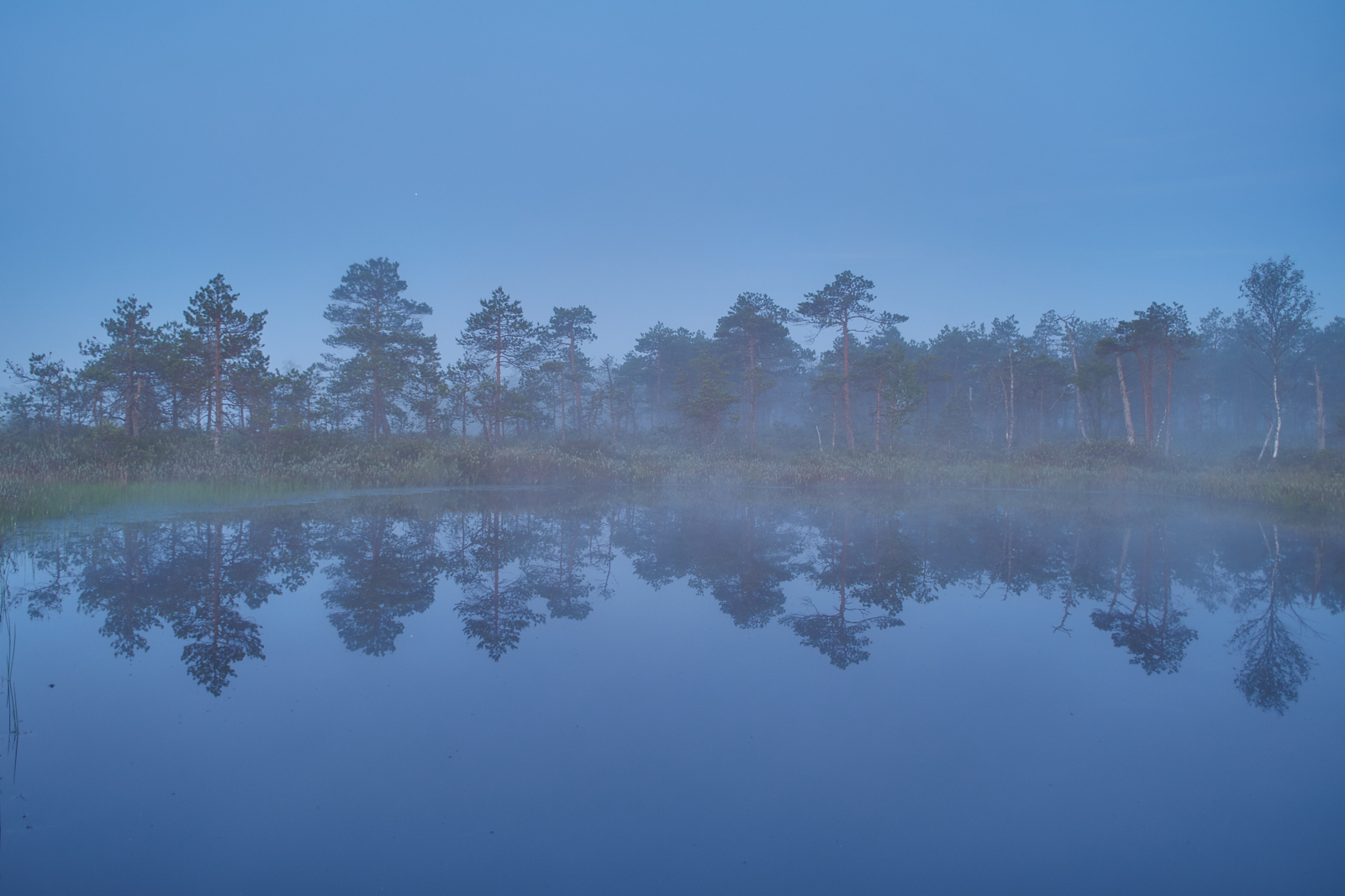 Imeline maailm: Loodus on alati avatud!