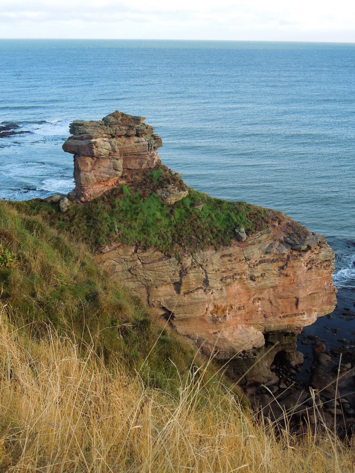 MTB Innerwick Stravaiger: The Berwickshire Coastal Path.