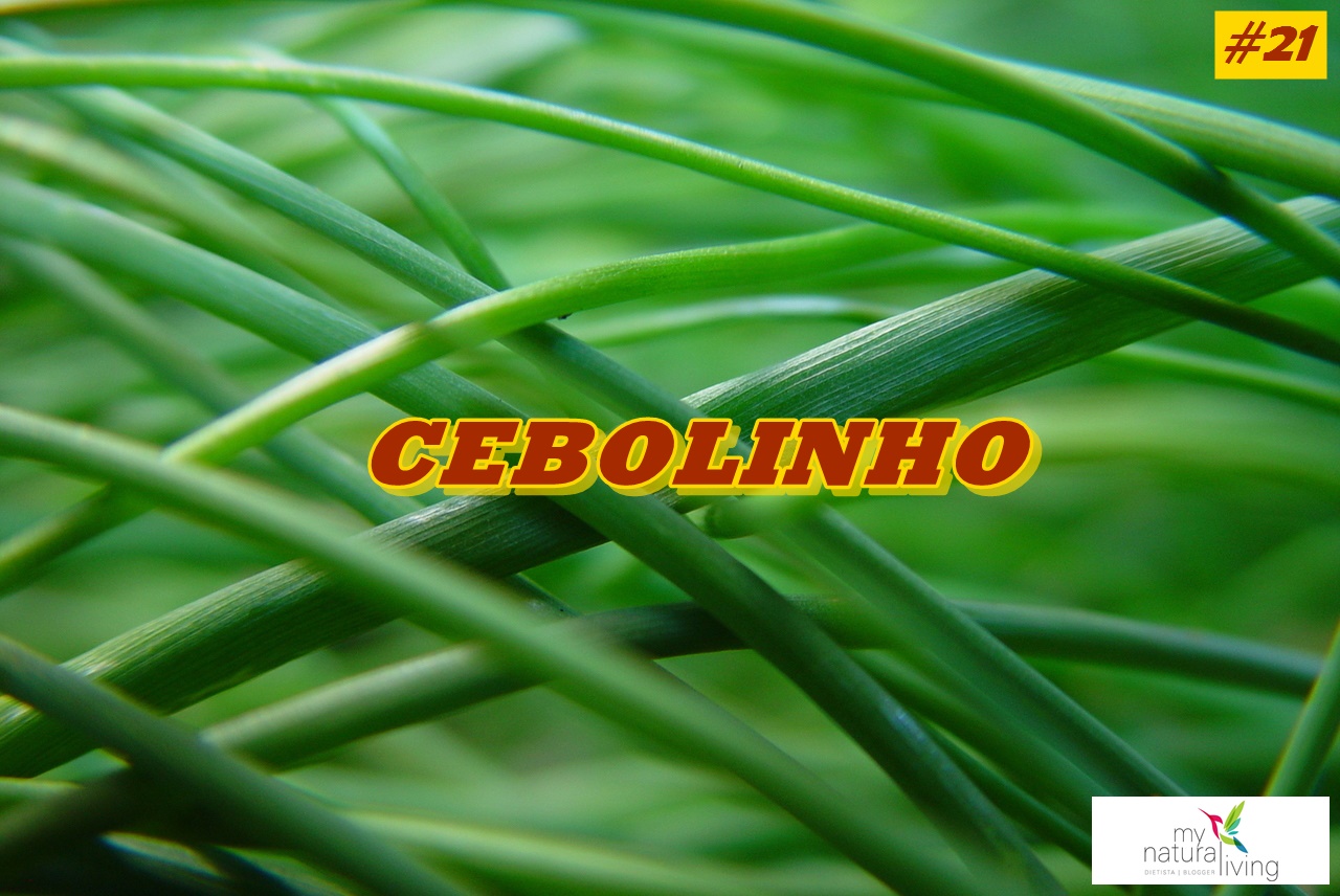 Ryco Lar: #21 - Serie: Como usar especiarias? - Cebolinho