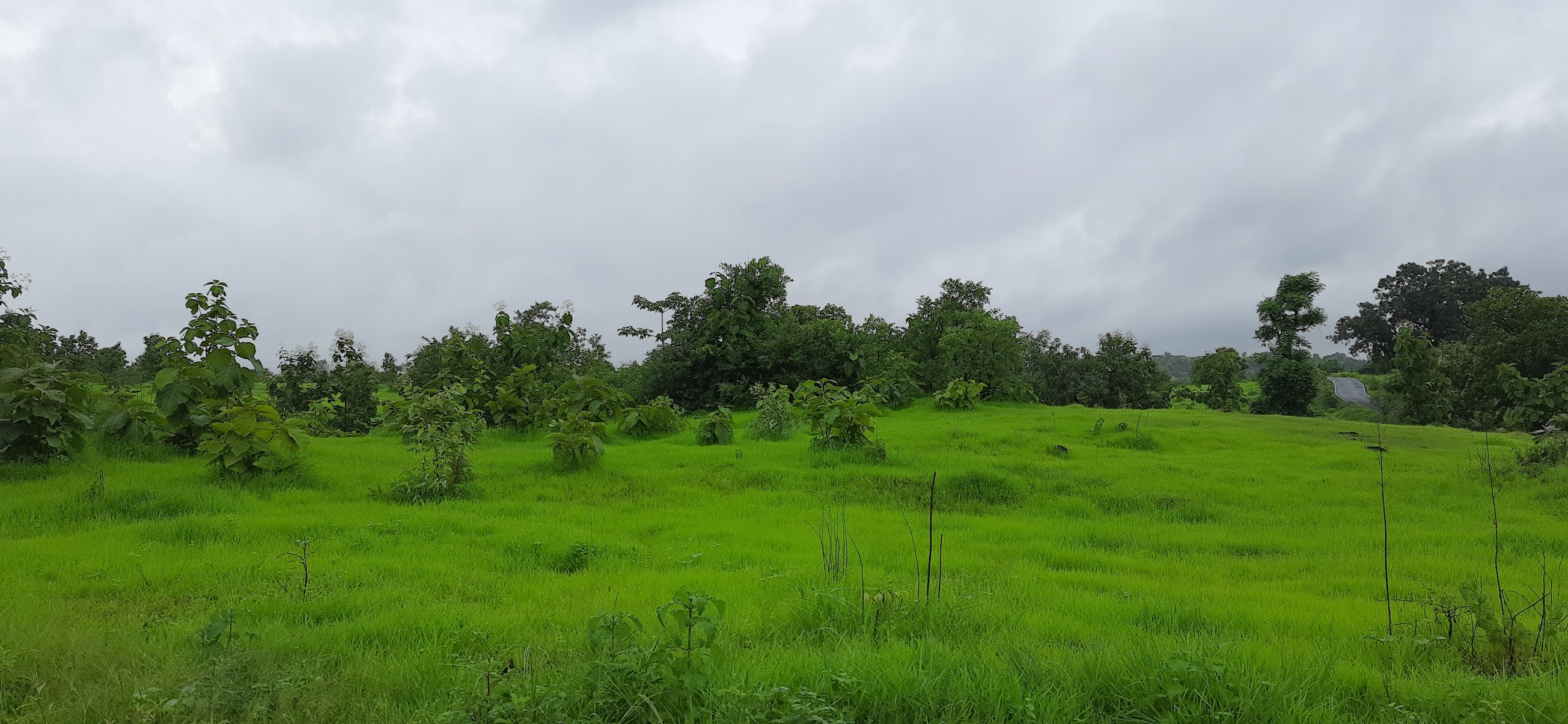 Sharad Pandhare's Educational Blog: Incredible Nature