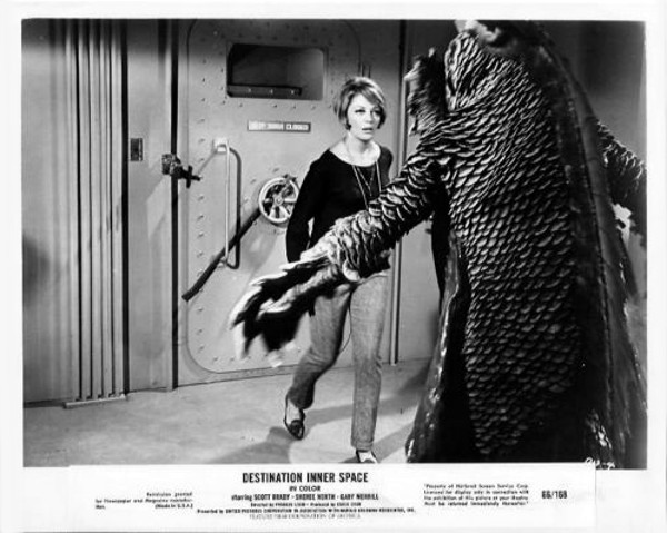 Realm Of Retro : DESTINATION INNER SPACE (1966)