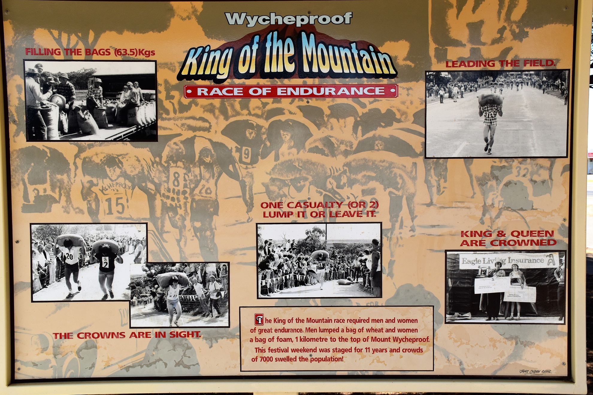 Goin' Feral One Day At A Time: Mount Wycheproof Walk - December 2020