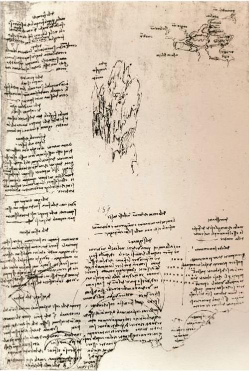 Alin (The Architect): LEONARDO DA VİNCİ'NİN MEKTUPLARI