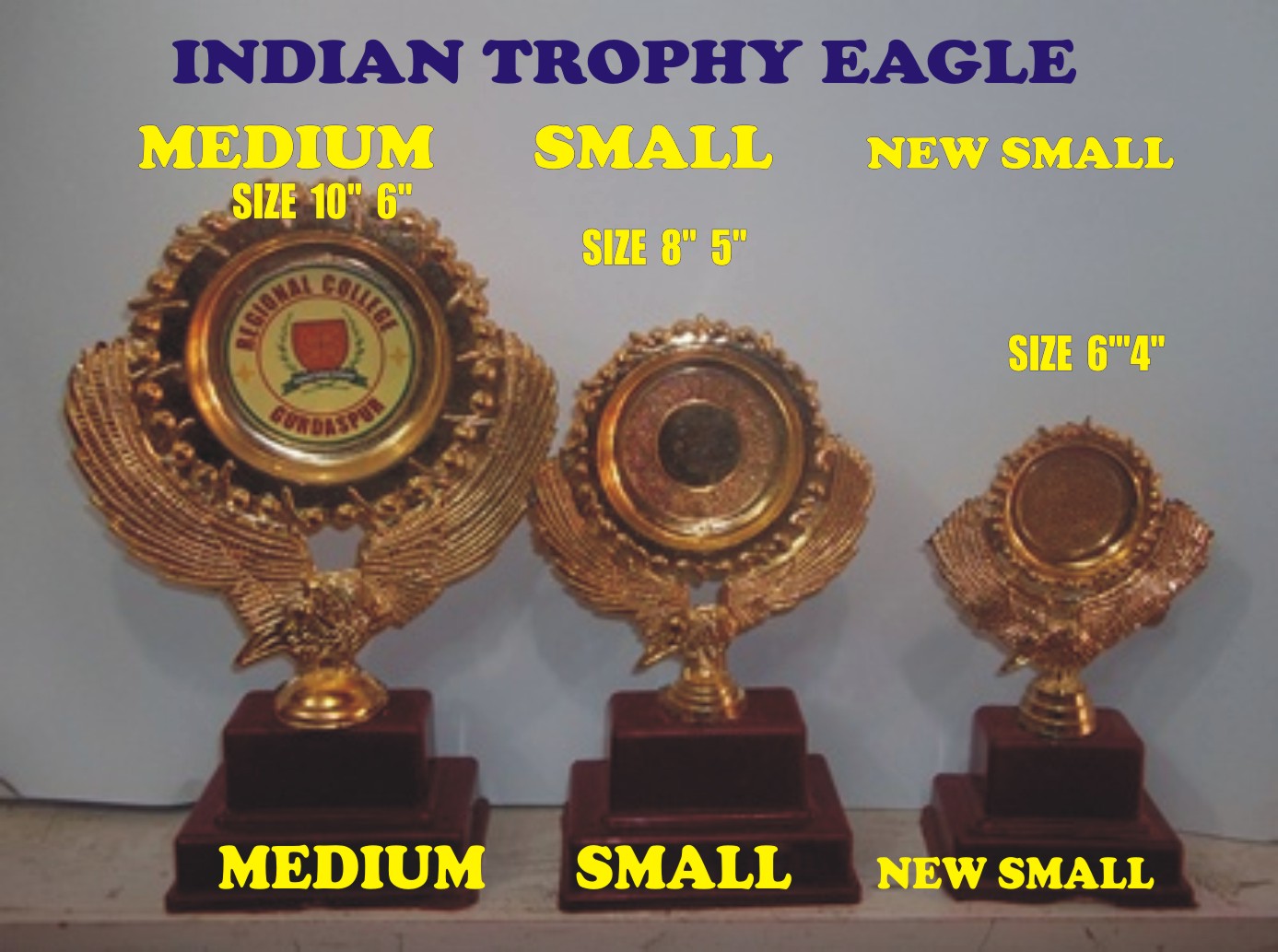 DIWANSONS GURDASPUR: Trophies Samples