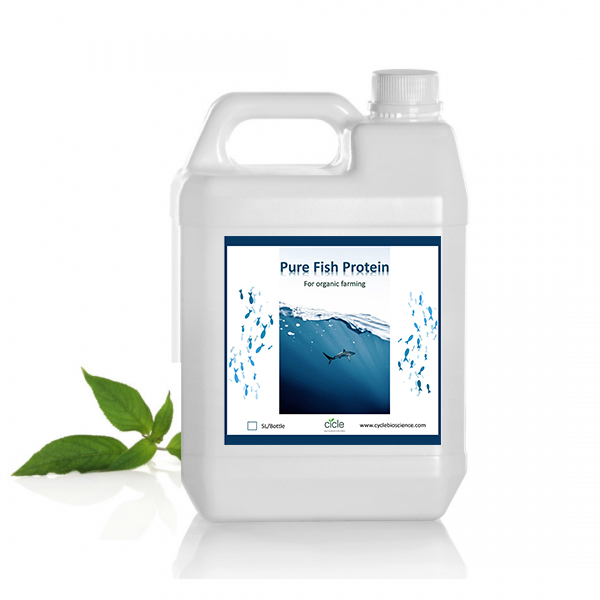 What exactly is fish protein? What is the effect of fish protein? How ...