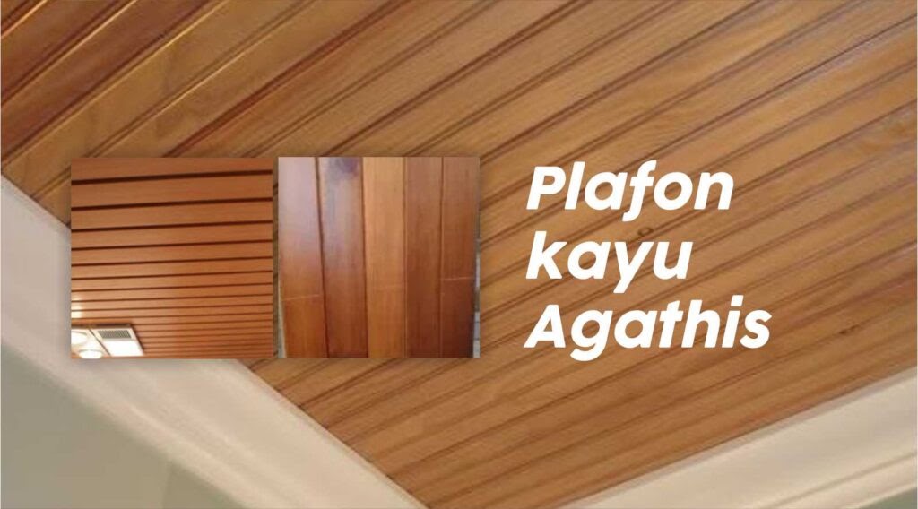 Mengenal kekuatan dan kualitas kayu agathis - Lantai kayu indonesia
