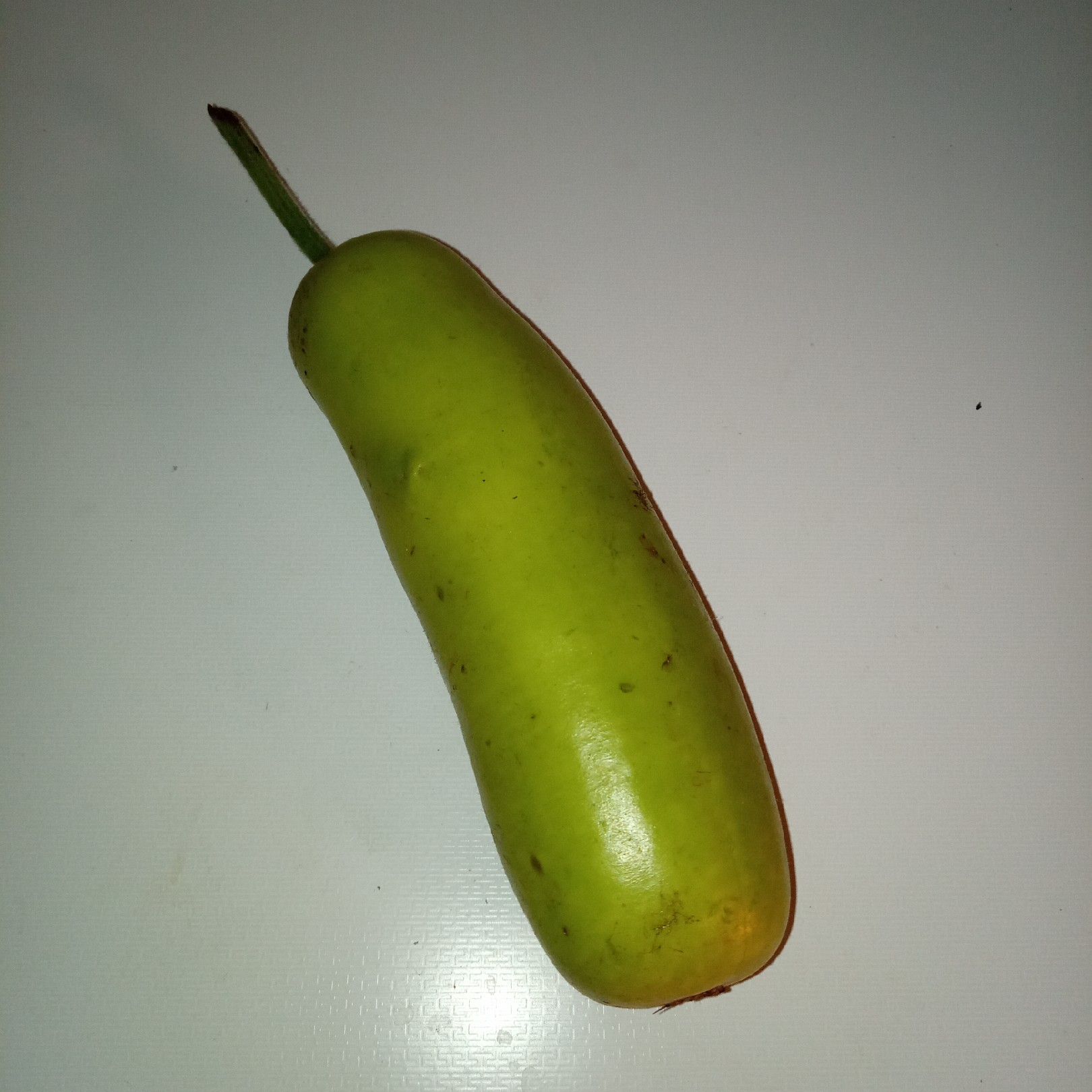 Supersupergirl's Food Reviews: Dudhi vegetable