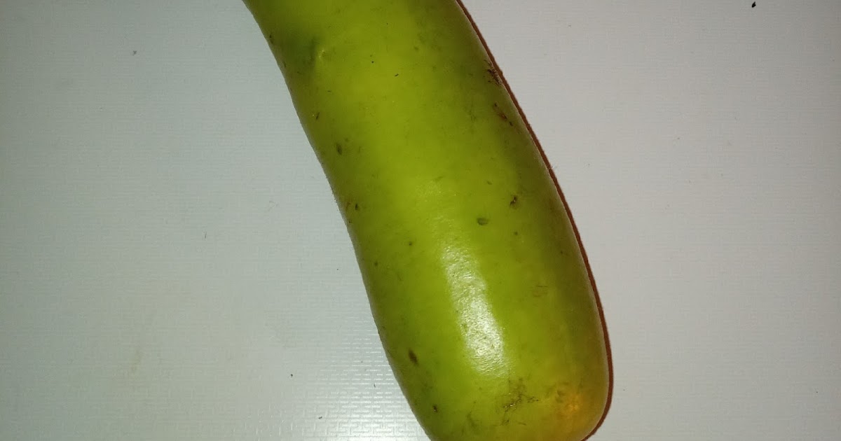 Supersupergirl's Food Reviews: Dudhi vegetable