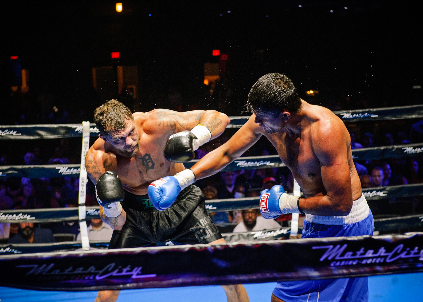 Andrew Potter Photo Blog: 2021