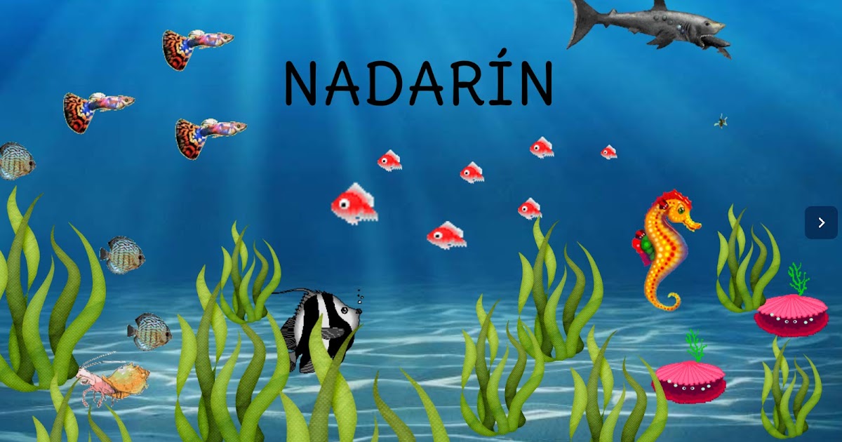 First Bilingual Steps: NADARIN Cuento y actividades Iinteractivas