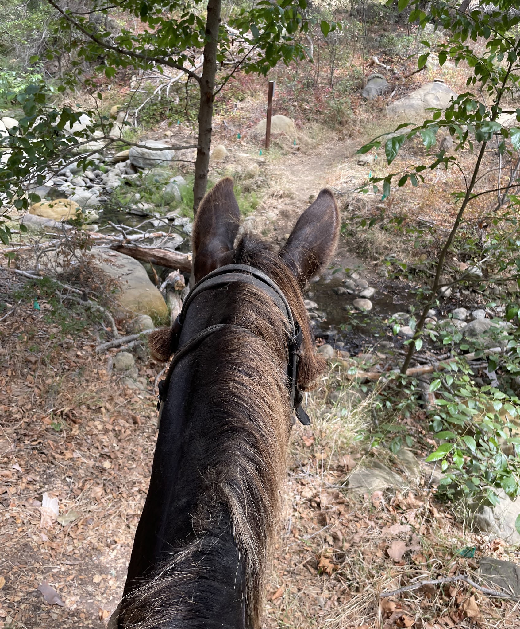Baron Ranch on the Gaviota Coast - edhat