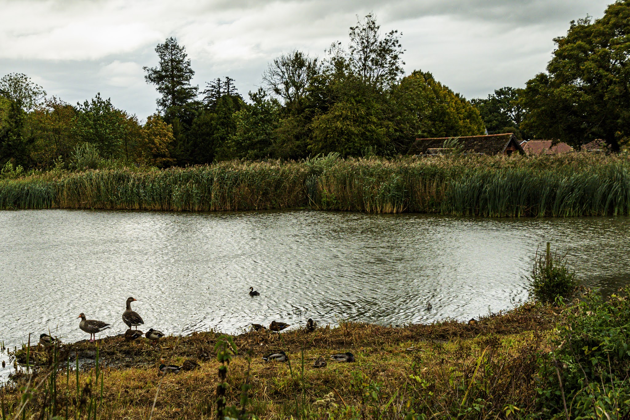 Enjoy your time with beautiful places: Warnham Nature Reserve and ...
