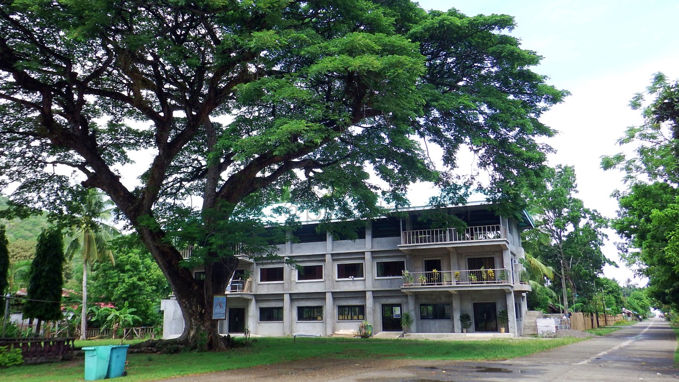 Macrohon Discoveries