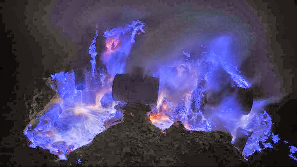 Fauna Urbana Villa María: Increíbles imágenes de la lava azul del ...