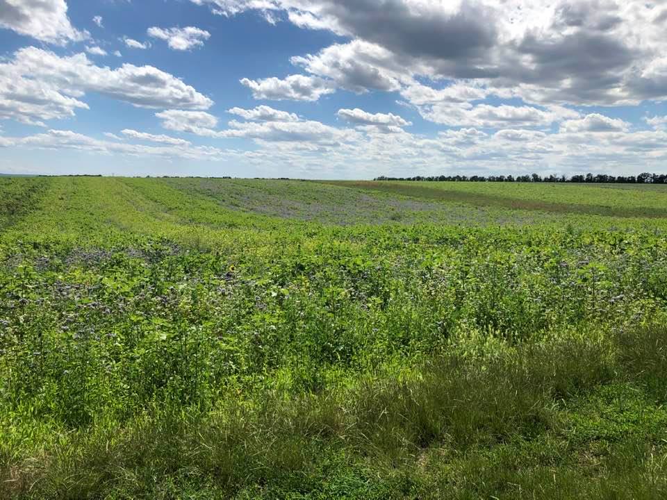 Pro Božice: Božice mají svého farmáře!