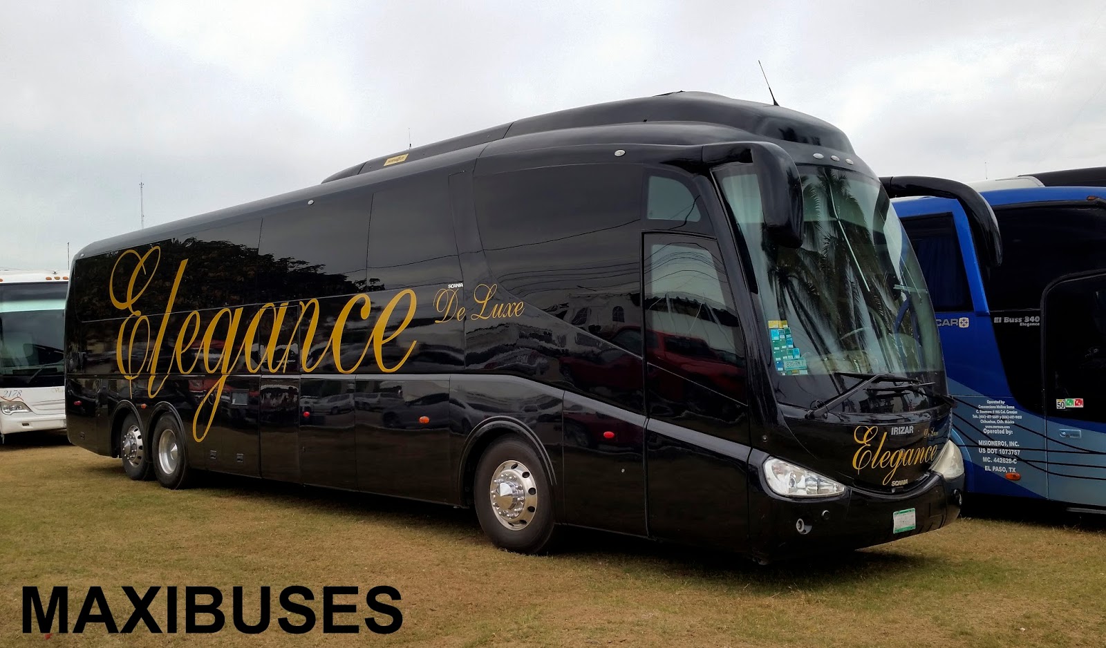 MAXIBUSES: AUTOBUSES ELEGANCE DE LUXE (TURISMO)