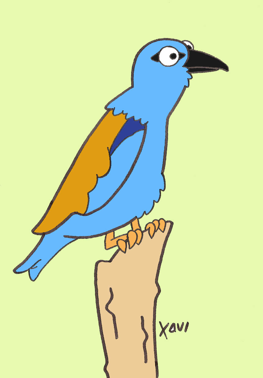 Destino Natural: Carraca europea