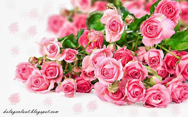 Shahkb Online: Whatsapp 017 930 6329: Manfaat Air Mawar untuk ...