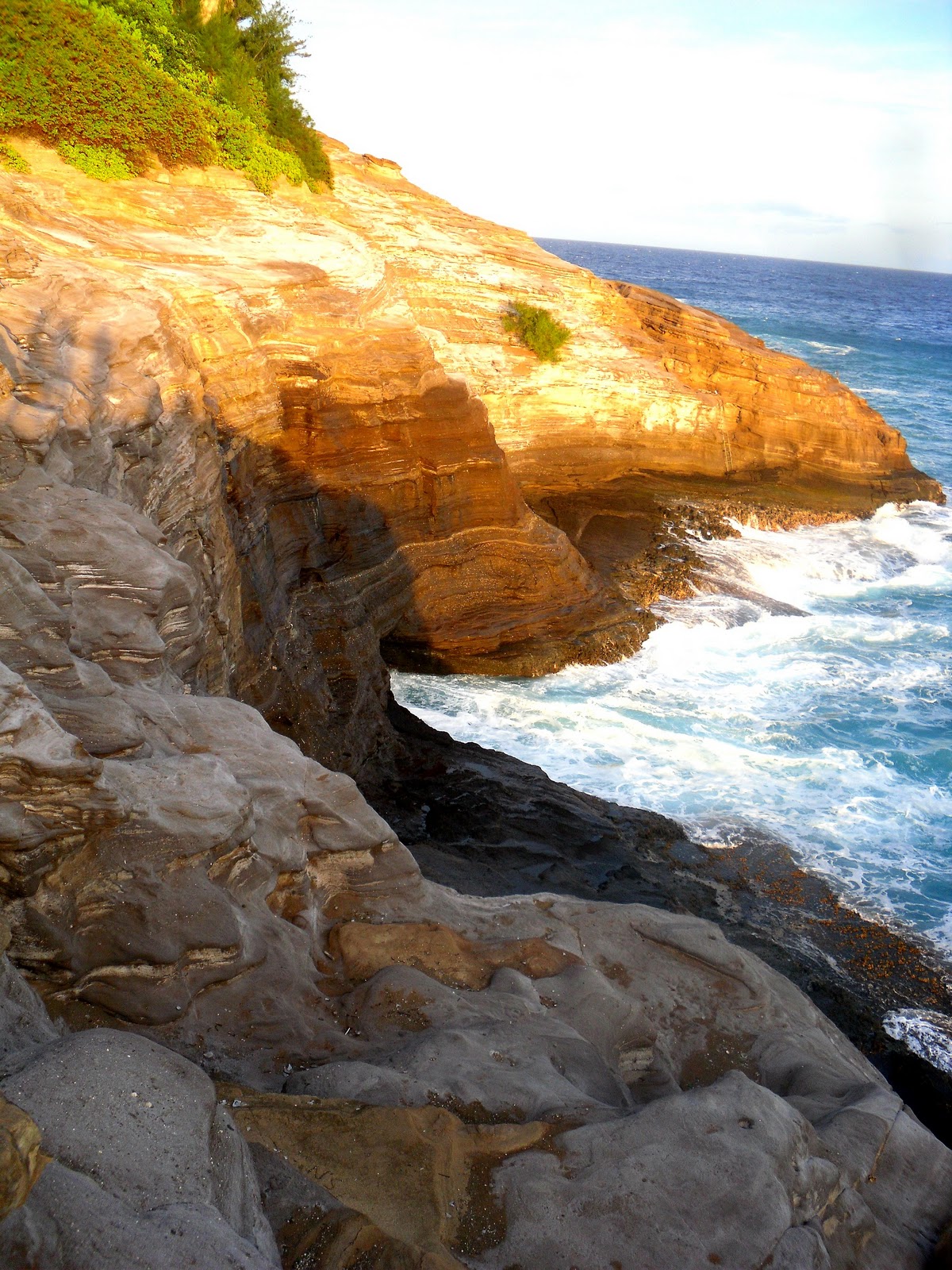 Forever Youngbergs: "Scratch That. Reverse It"