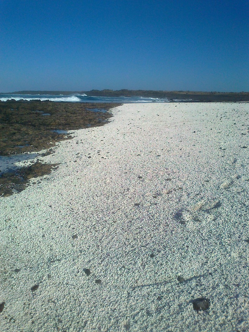 Popcorn Beach — Unique Sand Beach of Canary Islands