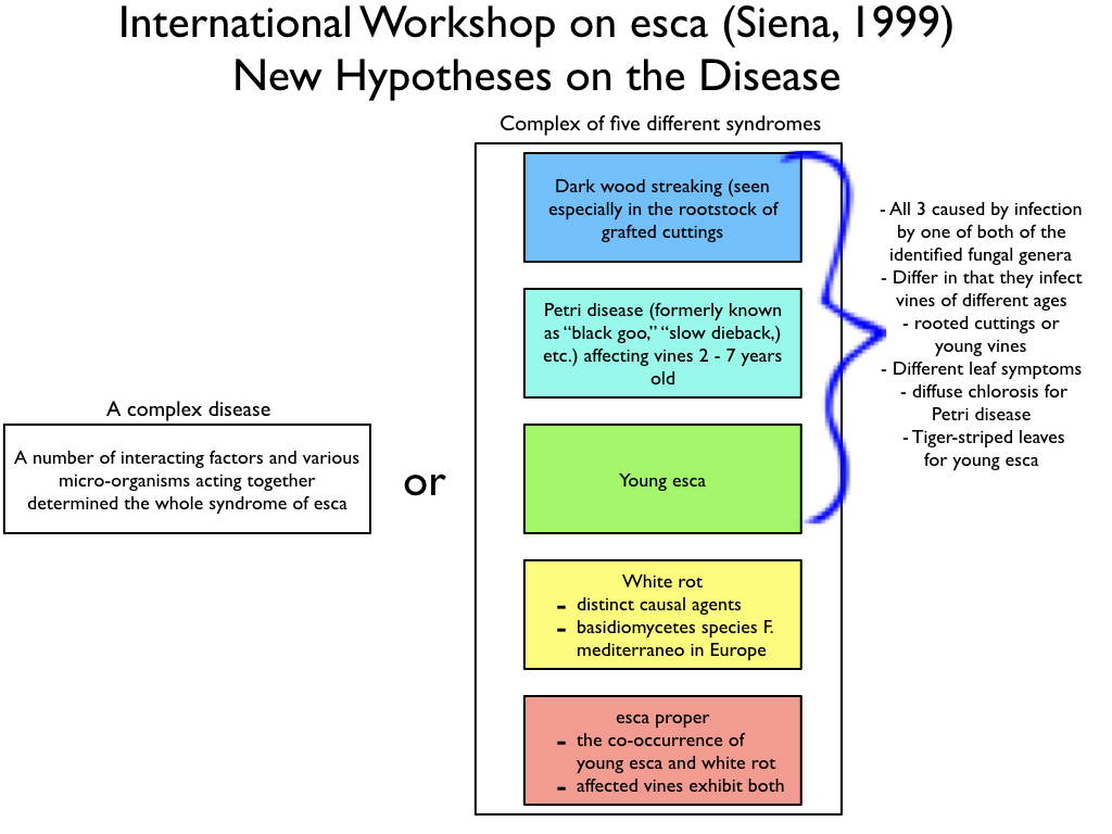 Wine -- Mise en abyme: Esca grapevine trunk disease: History, economic ...
