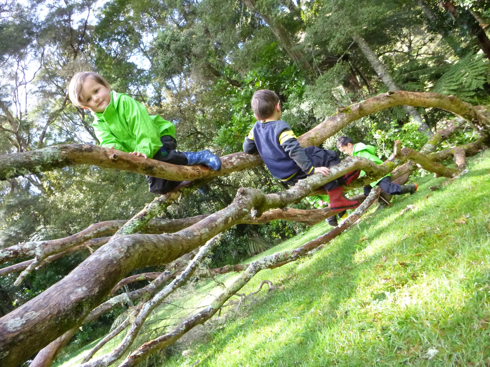 Mairtown Kindergarten: What a surprise discovery on the nature programme