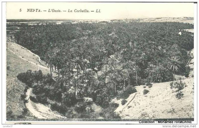 CULTURE et PATRIMOINE DE TUNISIE EN IMAGES- MOHAMED HAMDANE-ثقافة وتراث ...