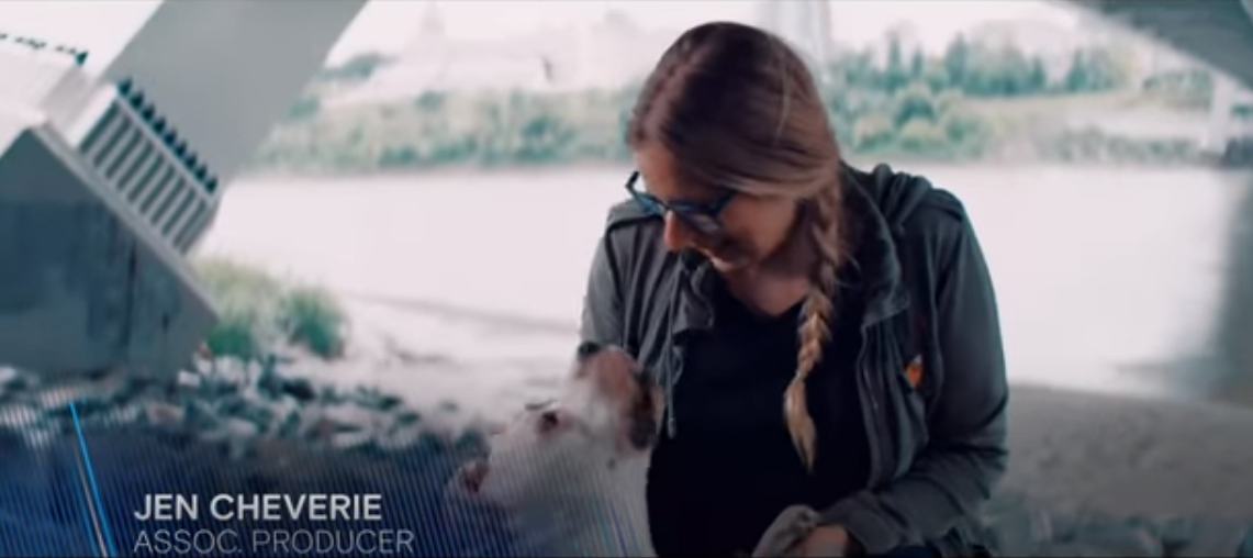 Dumped, Drunk and Dalish: Shot by Shot Analysis of the Dragon Age 4 ...