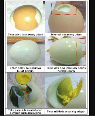Hani's Precious: Telur Dengan 2 Kuning Telur