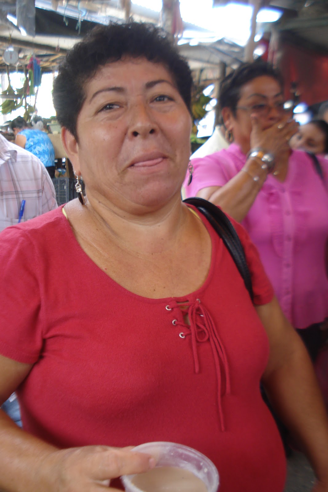 what did lorenzo de zavala do