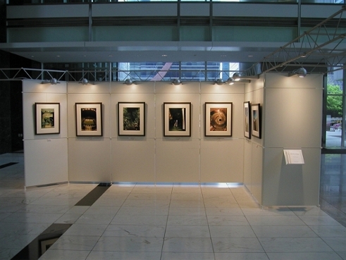 Sewa Panel Photo Pameran ~ Perlengkapan pameran, peralatan pameran