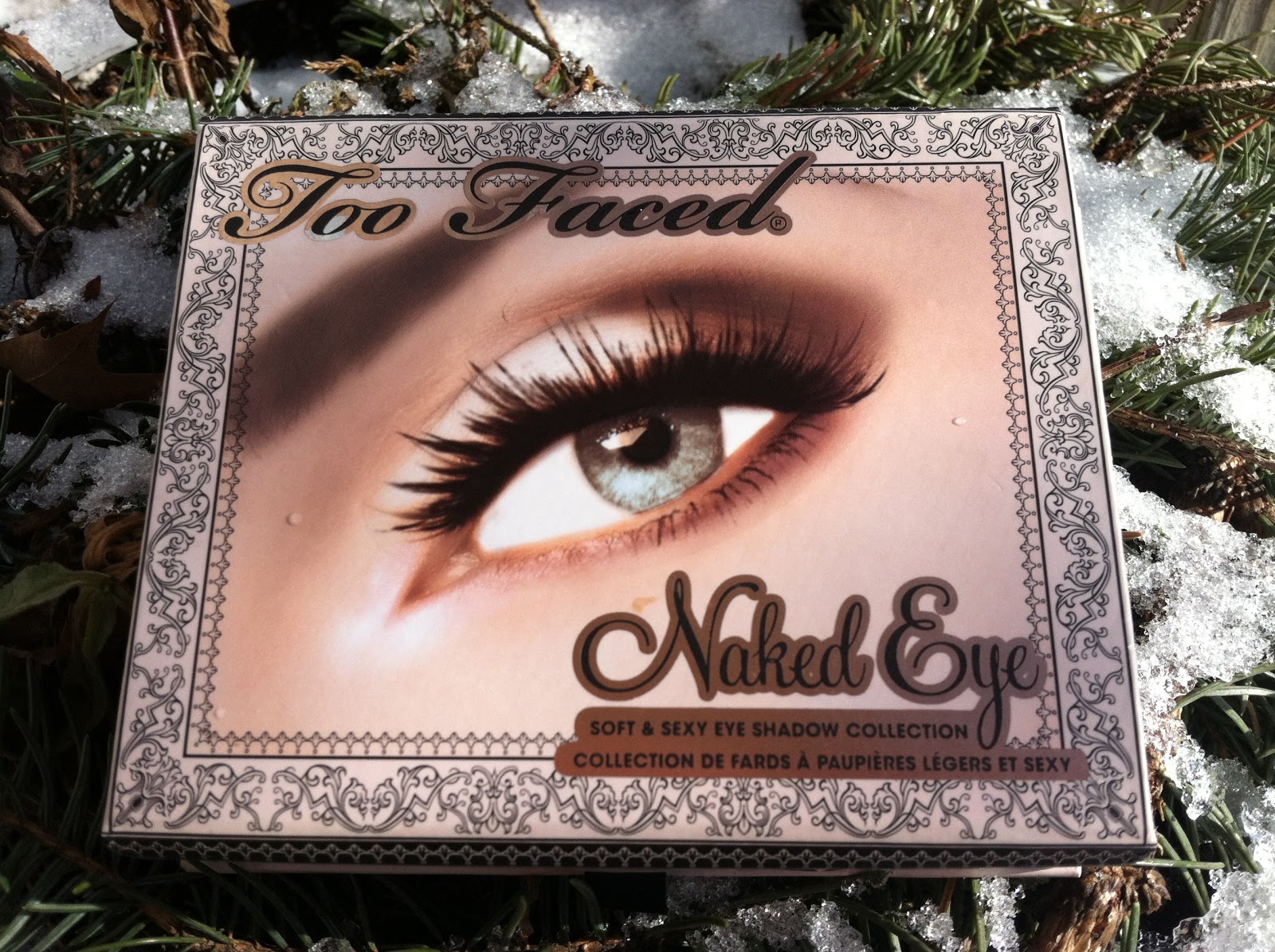 Foxy Lady Beauty: Beauty Products from Santa :)