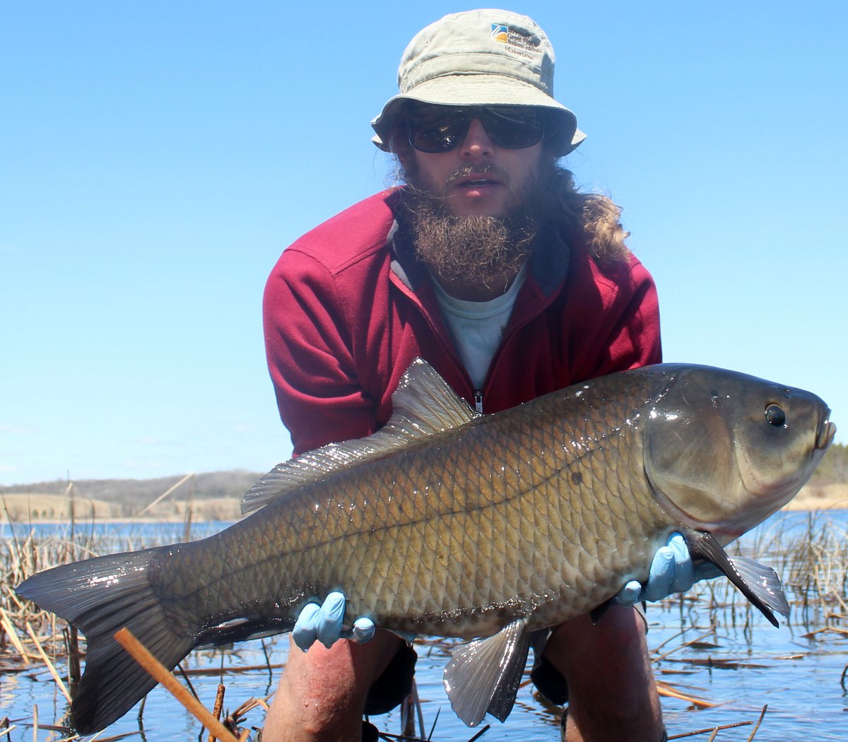 The oldest fish was 112 years old