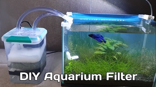 Build DIY Canister Filter, Maintenance, Pros and Cons
