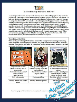 The Autism & Low-Incidence Coaching Team: Regulation Rendezvous ...