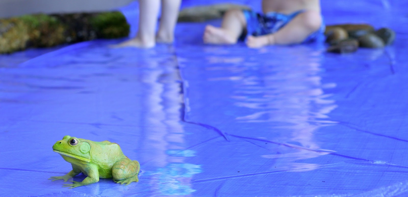 Giant Frog Pond World for Pretend Play