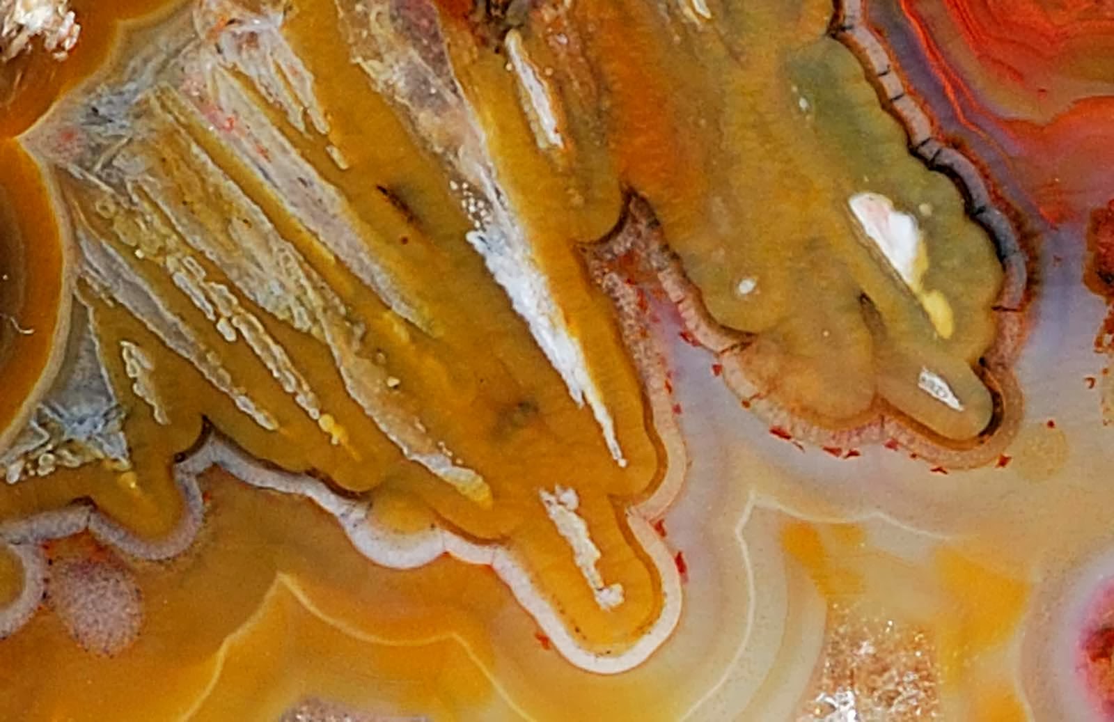 The Agatelady: Adventures and Events: More Close Up Agate Photos