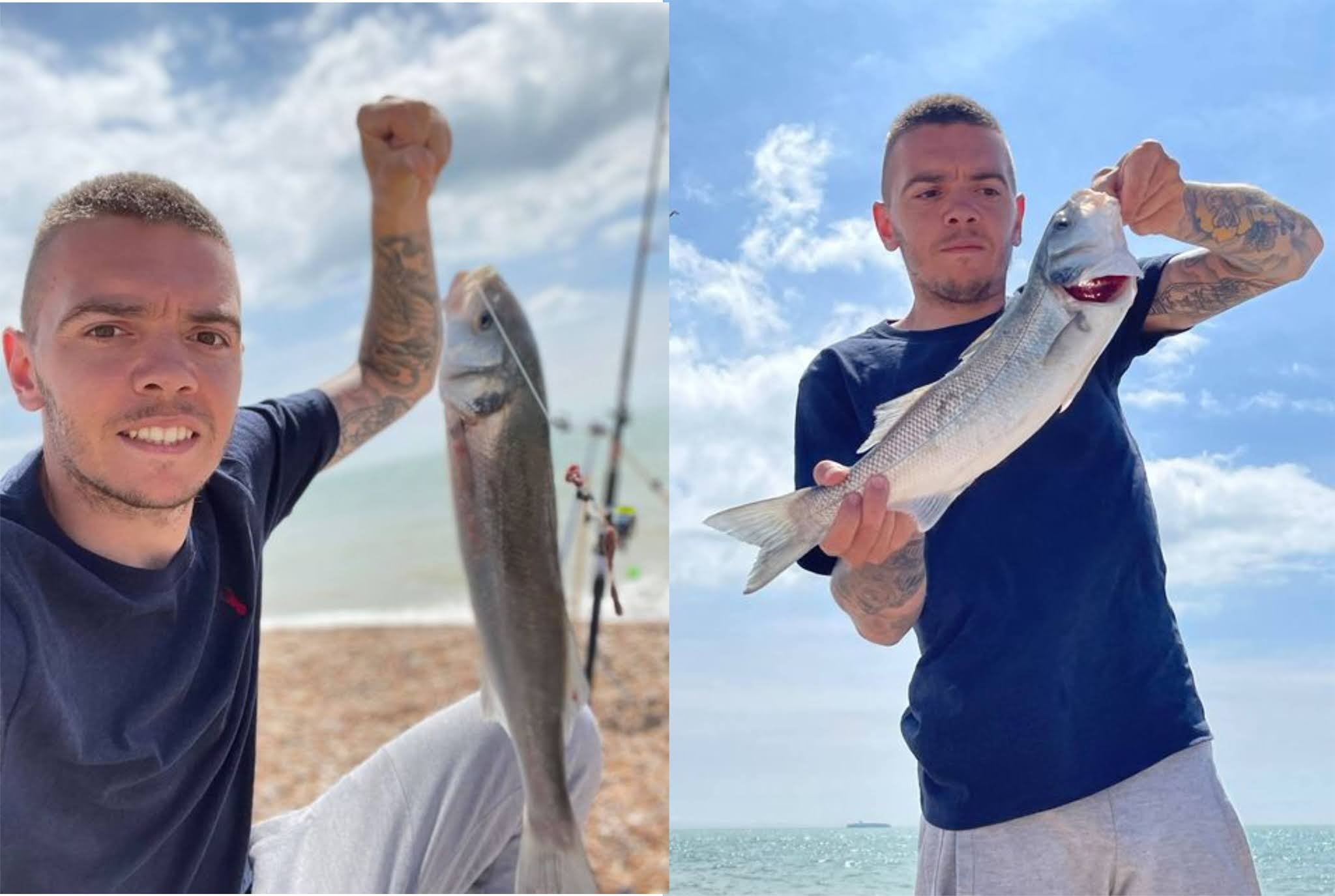 Seagull Fishing Tackle Sea Fishing at Dungeness