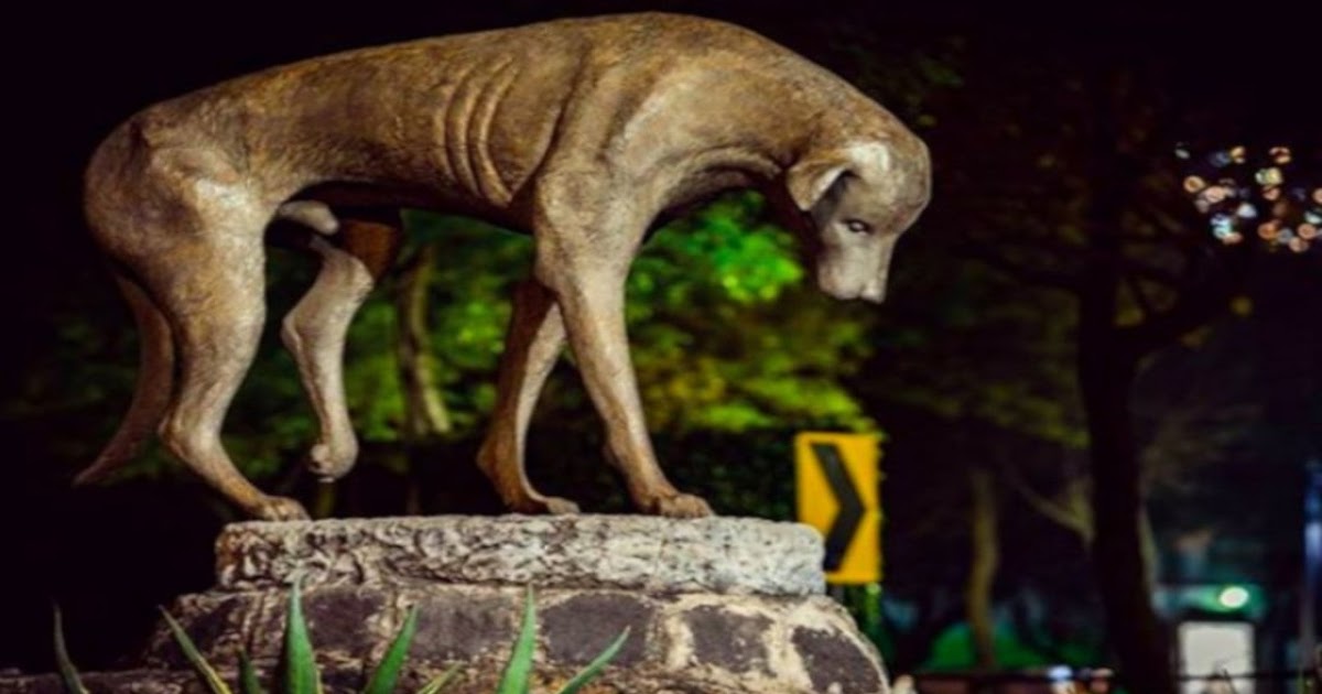 Monumento al perro callejero en México (peluso) 🥇