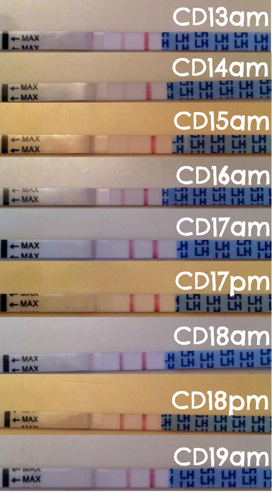 Happenstance: OPK Game