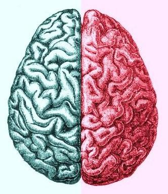 Article: GOOD Brain? BAD Brain, Red Brain Blue Brain?: Scientific Study ...