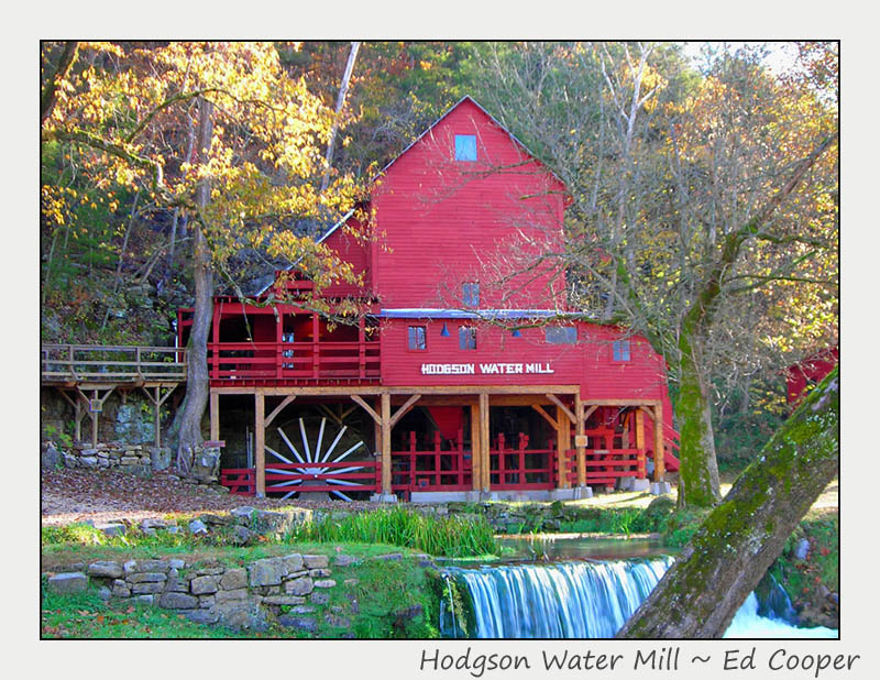 GIVEAWAY ~ Hodgson Mill Pasta