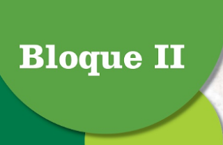 Bloque 2 - El baúl de los conocimientos