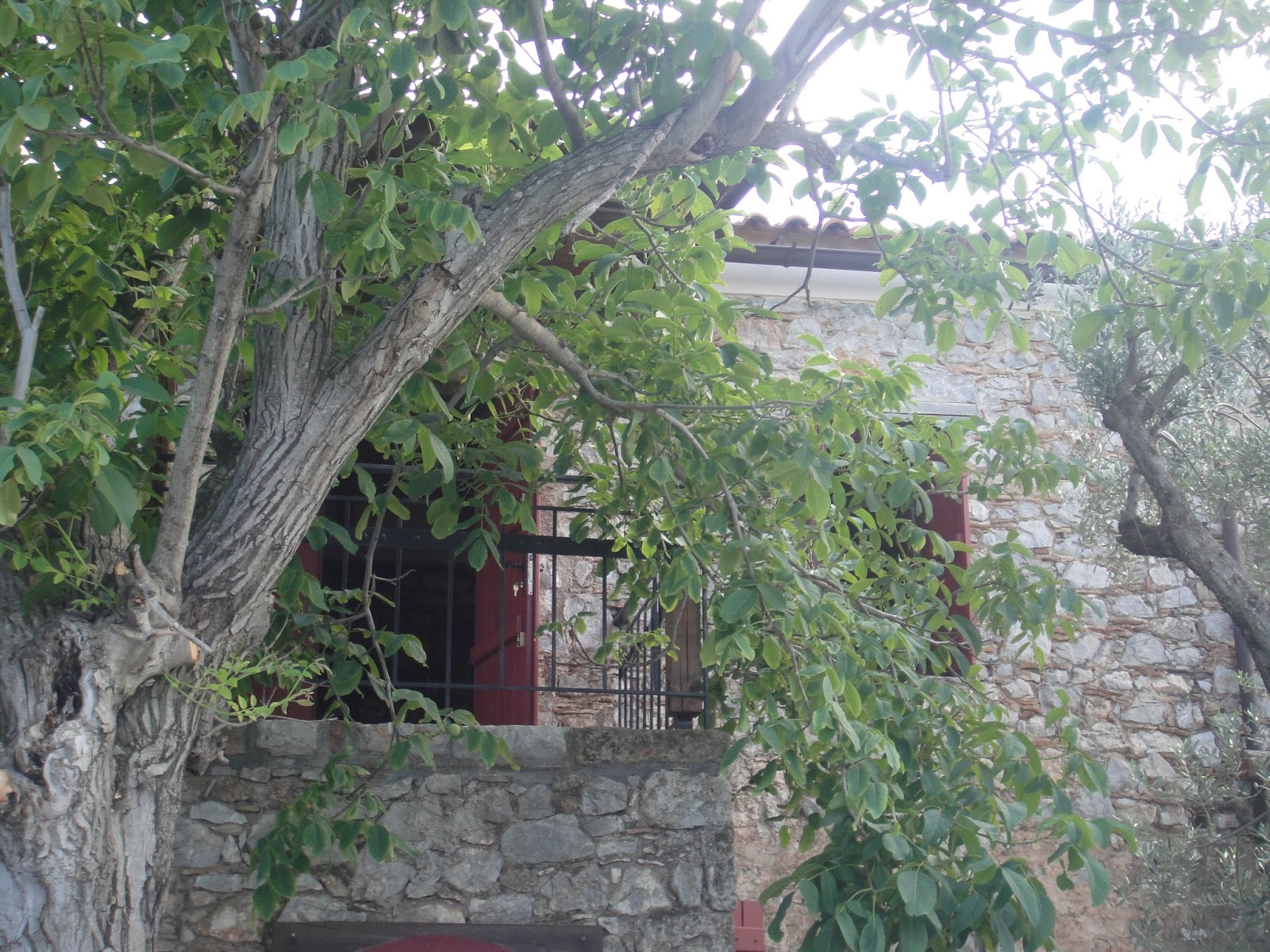 Ταξιδεύοντας στα σύννεφα..: ΕΠΙΔΑΥΡΟΣ- ΛΗΓΟΥΡΙΟ-ΠΑΡΑΣΤΑΣΗ ΠΛΟΥΤΟΣ ...